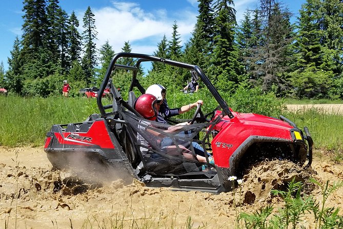 Guided Off-Road Vehicle Tours in North Idaho Forests - Exploring Guided Off-Road Vehicle Tours in North Idaho Forests