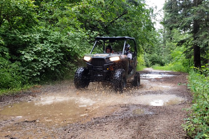 Guided Off-Road Vehicle Tours in North Idaho Forests - The Sum Up: Is It Worth It?