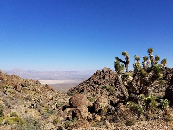 Guided or Self-Guided Road Bike Tour of Red Rock Canyon - A Closer Look at the Red Rock Canyon Bike Tour