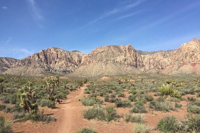 Guided or Self-Guided Road Bike Tour of Red Rock Canyon - Practical Details and Tips