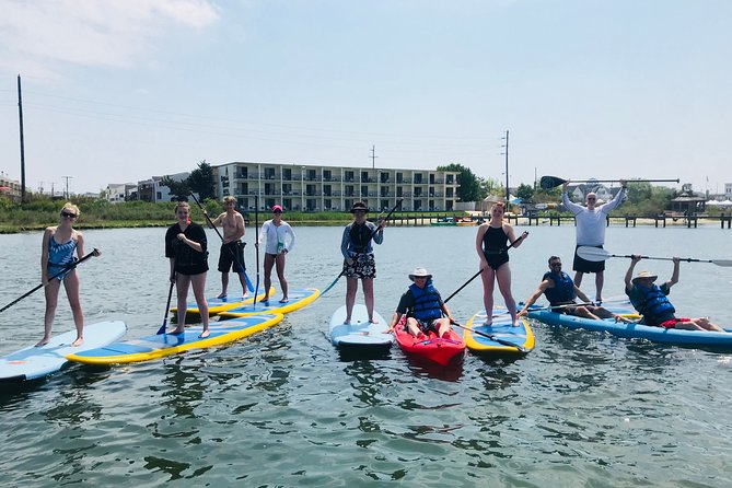 Guided Paddleboard Excursion on Rehoboth Bay - An In-Depth Look at the Rehoboth Bay Paddleboard Tour