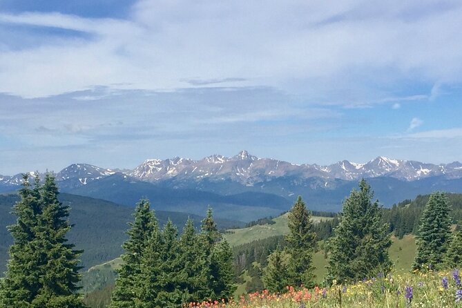 Guided Private Scenic Colorado Mountain Hiking - Half Day - Who Will Love This Tour?
