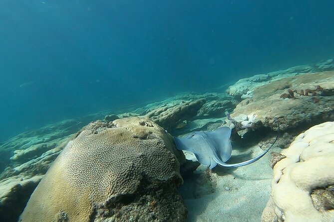 Guided Reef Snorkeling Tour in Pompano Beach - Who Should Book This Tour?