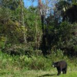 Guided Safari-Style Jeep Tour - Who Will Love This Tour?