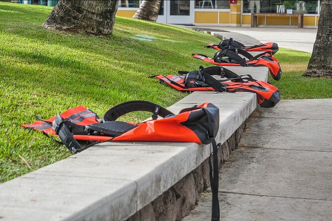 Guided Secret Falls Tour with Snacks and Drinks - Who Should Consider This Tour