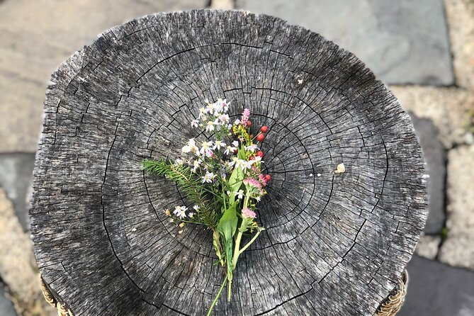 Guided Shared Group Forest Bathing Session in Serene Woodland Park - An Overview of the Experience