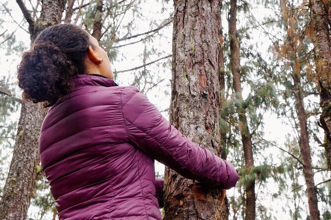 Guided Shared Group Forest Bathing Session in Serene Woodland Park - Who Will Love This Experience?