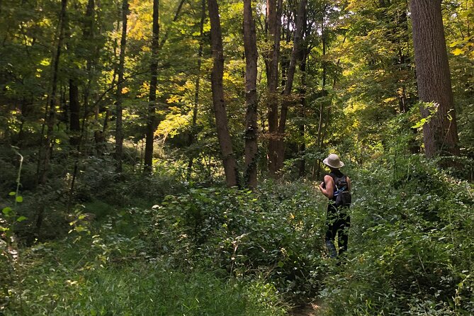 Guided Shared Group Forest Bathing Session in Serene Woodland Park - FAQ