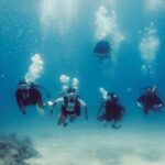 Guided Shore Dive or Refresher Dive - Marine Life and Underwater Environment