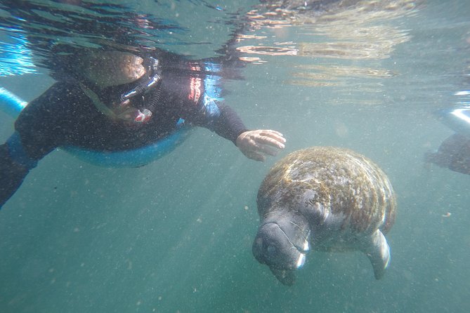 Guided Small Group Manatee Snorkeling Tour with In-Water Photographer - What Sets This Tour Apart
