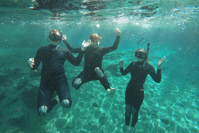 Guided Small Group Manatee Snorkeling Tour with In-Water Photographer - The Itinerary: What to Expect