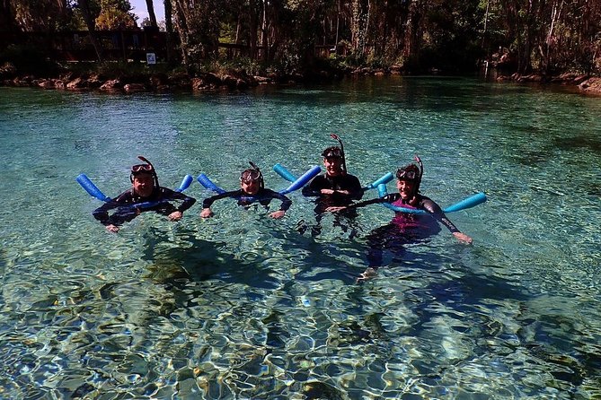 Guided Small Group Manatee Snorkeling Tour with In-Water Photographer - What’s Included and What to Consider