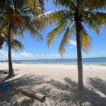 Guided Snorkel Experience, Free Videos in West Palm Beach - Why This Tour Is a Great Choice