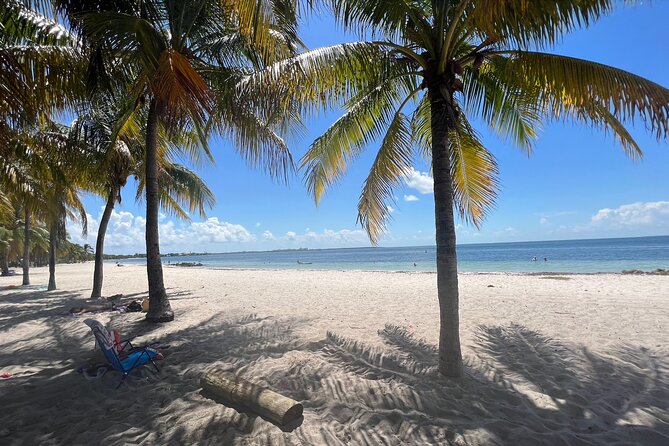 Guided Snorkel Experience, Free Videos in West Palm Beach - Why This Tour Is a Great Choice