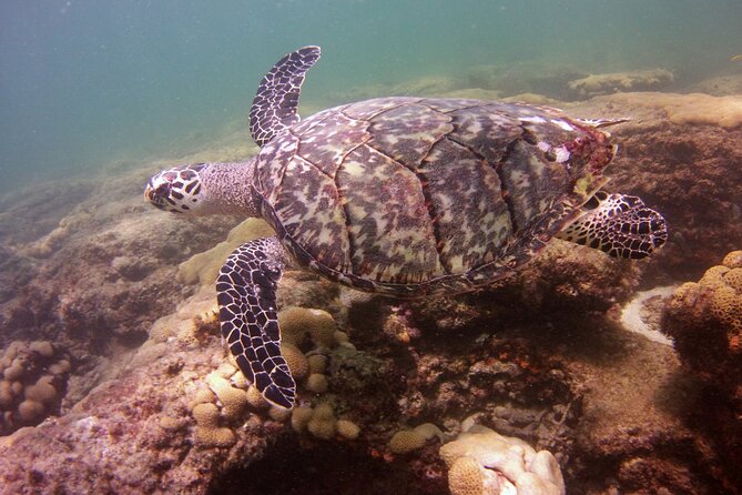 Guided Snorkel Experience in Fort Lauderdale - Group Size and Personalization