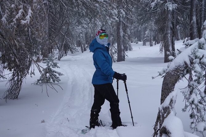 Guided Snowshoe Experience in Lake Tahoe - FAQ: Practical Questions About the Snowshoe Tour