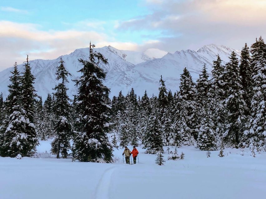 Guided Snowshoeing Adventure from Seward, Alaska - Why You’ll Love the Snowshoeing Experience in Seward