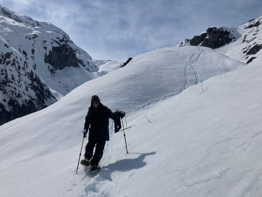 Guided Snowshoeing Adventure from Seward, Alaska - Detailed Look at the Itinerary and Experience