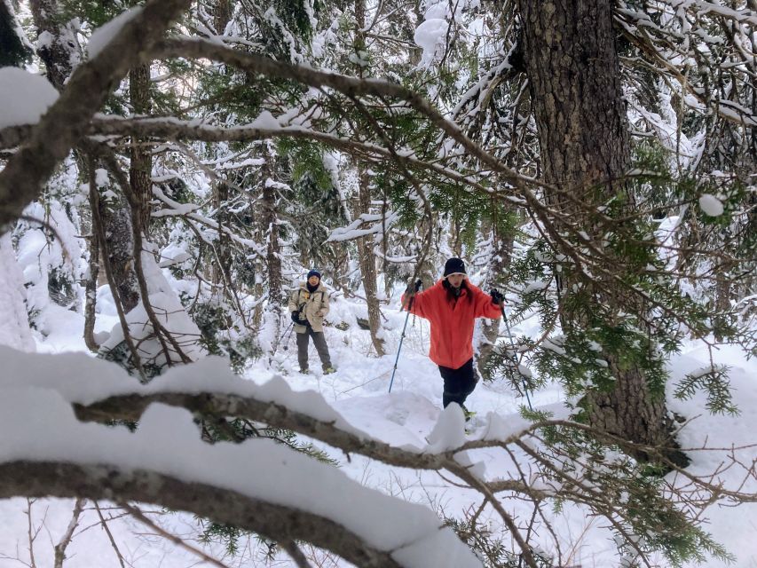 Guided Snowshoeing Adventure from Seward, Alaska - The Value of the Experience