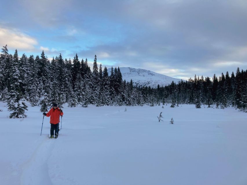 Guided Snowshoeing Adventure from Seward, Alaska - Who Would Love This Tour?