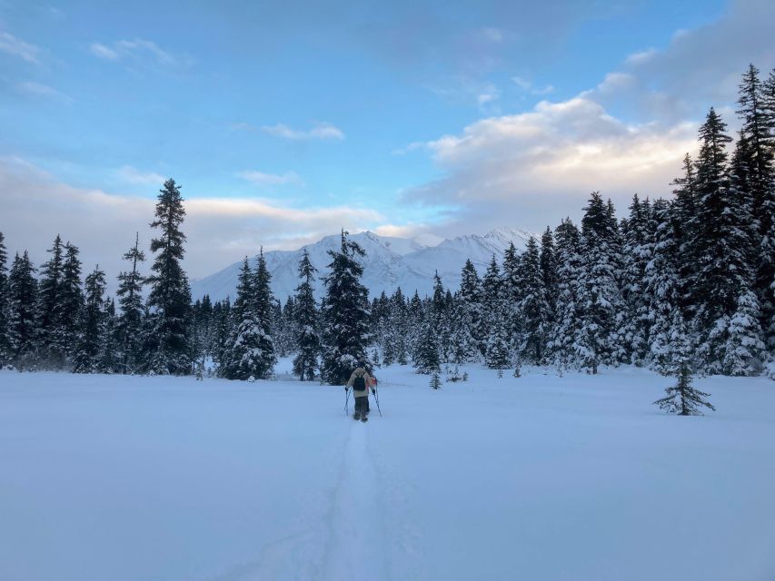Guided Snowshoeing Adventure from Seward, Alaska - The Sum Up