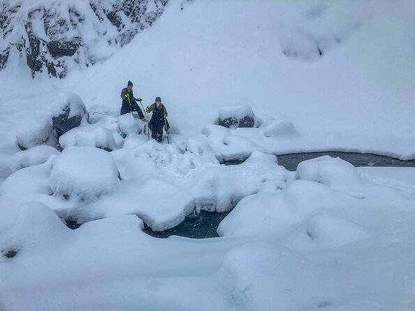 Guided Snowshoeing Adventure in Seward, Alaska - Practical Details & Considerations