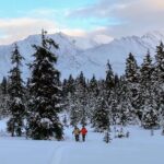 Guided Snowshoeing Adventure in Seward, Alaska - Analyzing the Experience: Value and Authenticity