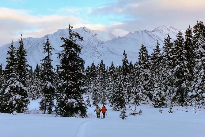 Guided Snowshoeing Adventure in Seward, Alaska - Analyzing the Experience: Value and Authenticity