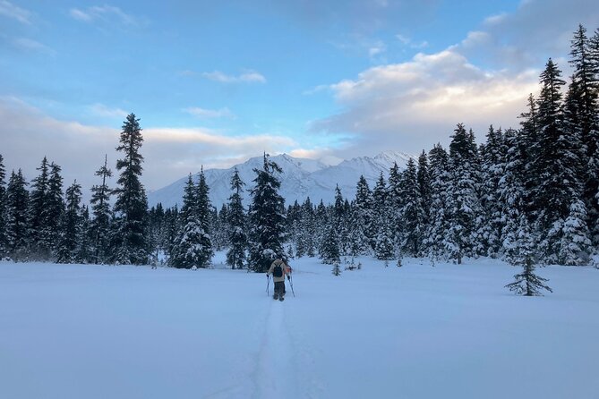 Guided Snowshoeing Adventure in Seward, Alaska - Final Thoughts