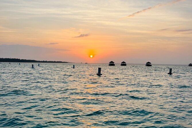 Guided Sunset and Dolphin Cruise Non Private in Destin, FL - Why It’s Worth Your Time