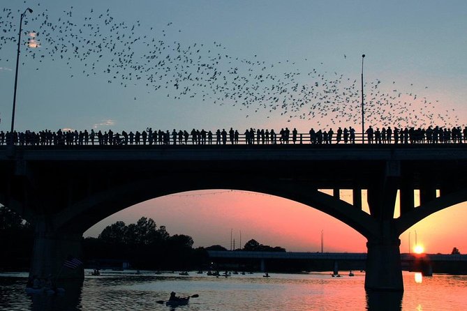 Guided Sunset Bat Kayak Tour in Austin - Key Points