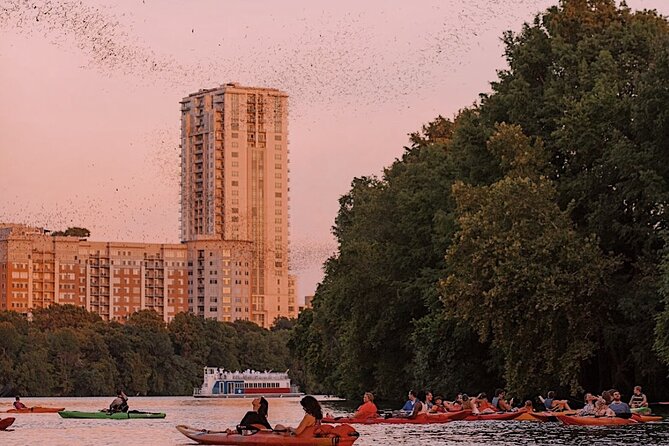 Guided Sunset Bat Kayak Tour in Austin - An In-Depth Look at the Tour Experience