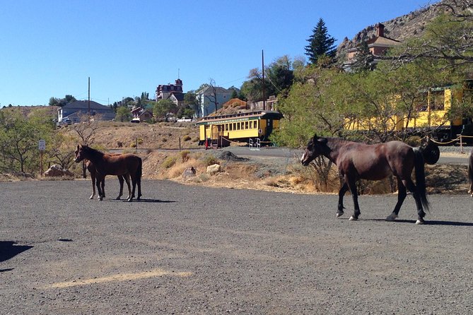 Guided Tour of Historic Virginia City and Carson City from South Lake Tahoe - Who Is This Tour Best For?