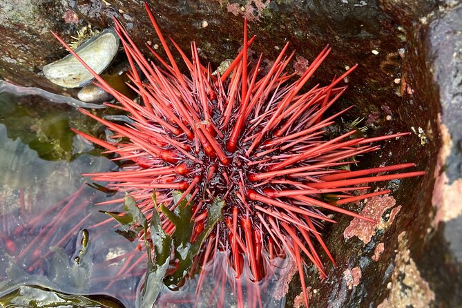 Guided Tour of Ketchikans Top Attractions - Exploring Ketchikan’s Top Attractions: A Detailed Look