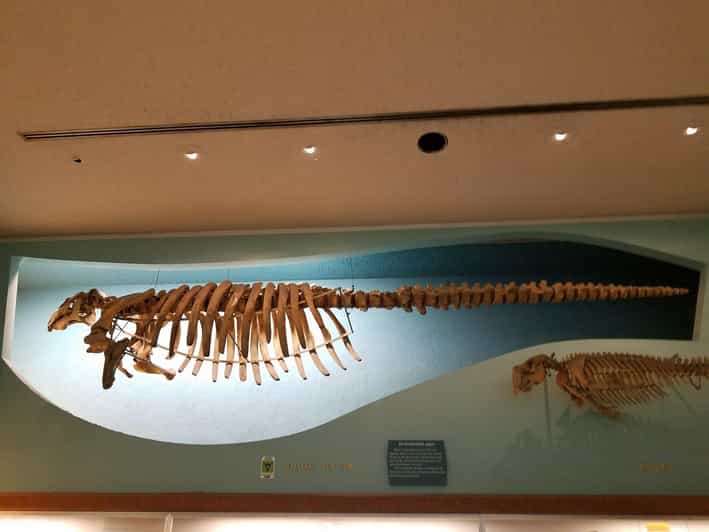 Guided Tour of The Natural History Museum - Key Points