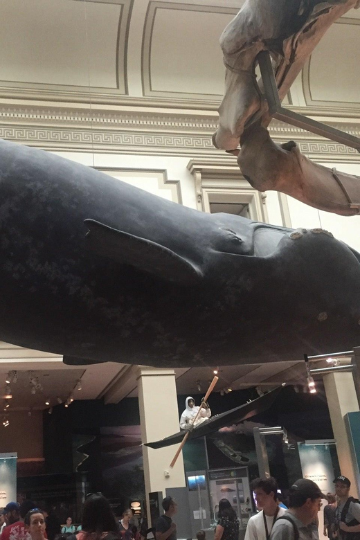 Guided Tour of The Natural History Museum - Exploring the Highlights of the Museum