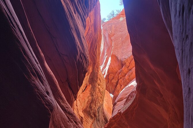 Guided tours in southern Utahs slot canyons, Indian ruins, and national parks. - What’s Not Included and Practicalities