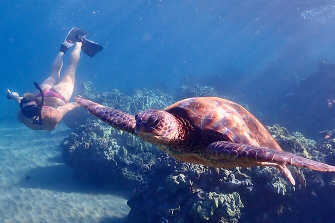 Guided Turtle Town Snorkeling Tour with Underwater Photos - Why Guides Make a Difference