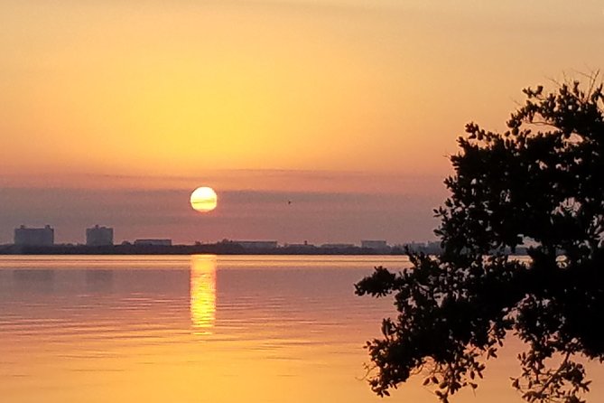 Guided Two Hour Boat Tour of the Indian River Lagoon - An In-Depth Look at the Indian River Lagoon Boat Tour