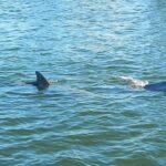Guided Two Hour Boat Tour of the Indian River Lagoon - Final Thoughts: Who Will Love This Tour?
