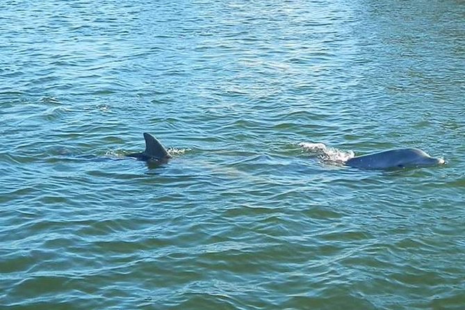 Guided Two Hour Boat Tour of the Indian River Lagoon - Final Thoughts: Who Will Love This Tour?