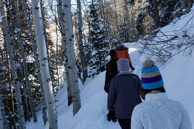 Guided Uinta Forest 3-Mile Hike w/fire + Lunch/charcuterie Stop - An Honest Look at the Guided Uinta Forest 3-Mile Hike with Fire and Lunch