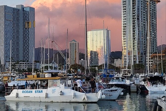 Guided Waikiki Turtle Snorkeling with Pick-up - Final Thoughts