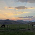 Guided Walking Tour of Methow Meadows and Meet the Animals - Authentic Experiences and Insights Gleaned from Reviews