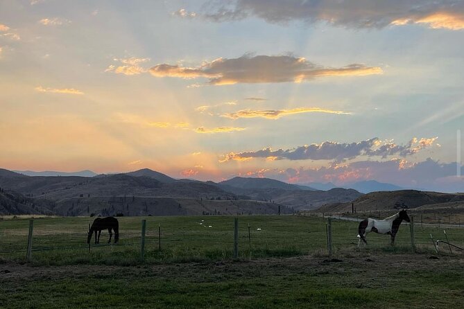 Guided Walking Tour of Methow Meadows and Meet the Animals - Authentic Experiences and Insights Gleaned from Reviews