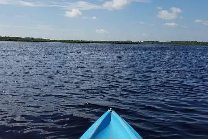 Guided Wildlife Eco Kayak Tour in New Smyrna Beach - The Journey: What the Tour Entails