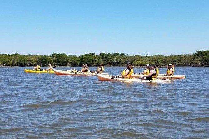 Guided Wildlife Eco Kayak Tour in New Smyrna Beach - The Value of Price and Experience