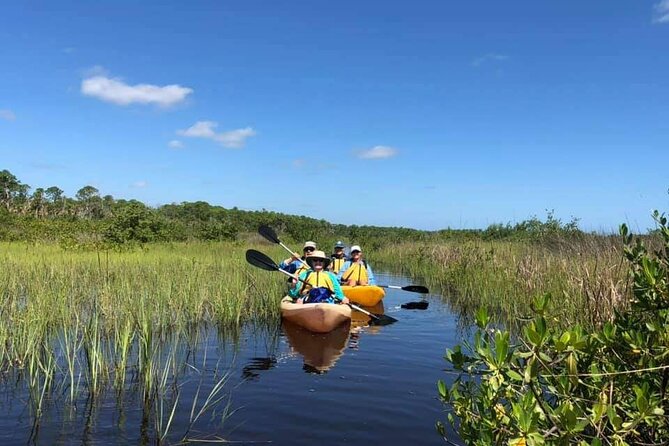 Guided Wildlife Eco Kayak Tour in New Smyrna Beach - The Review Highlights from Past Guests