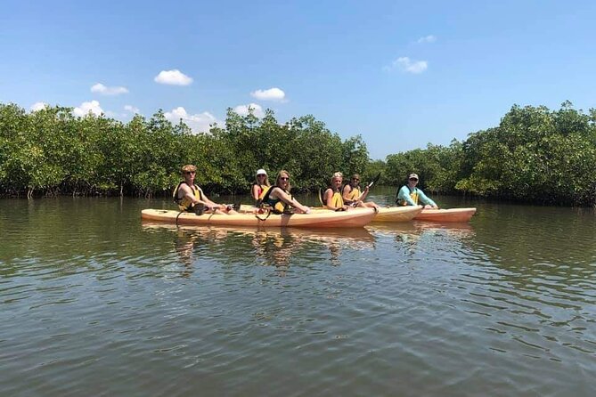 Guided Wildlife Eco Kayak Tour in New Smyrna Beach - The Downsides and Considerations