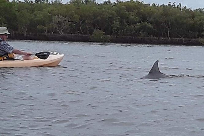 Guided Wildlife Eco Kayak Tour in New Smyrna Beach - Why This Tour Fits the Right Traveler